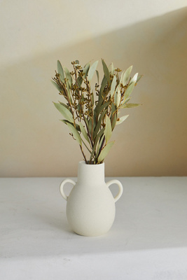 Dried Amber Fruit Bunch | Anthropologie