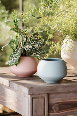 Angled Base Ceramic Planters, Set of 2 | Terrain