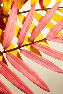 Faux Palm Leaf Spray | AnthroLiving