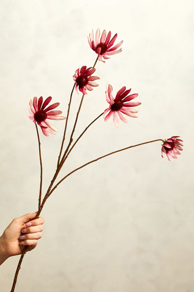 Faux Rudbeckia Stem | AnthroLiving