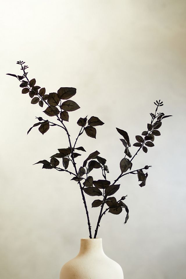 Faux Leafy Spray, Black | AnthroLiving