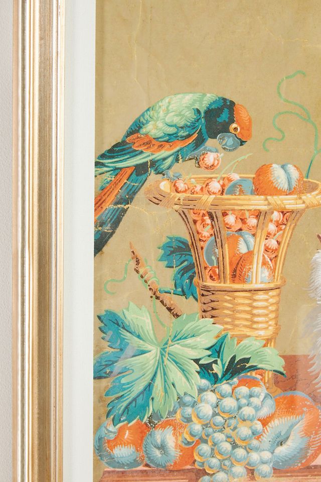 Optimistic Cat Wall Art | Anthropologie