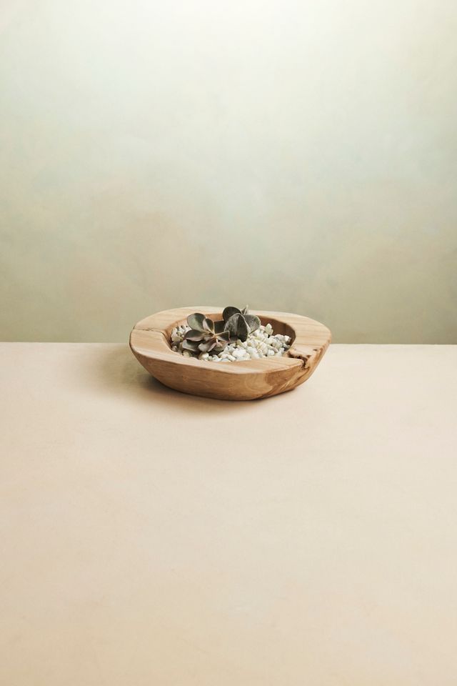 Teak Root Bowl Planter, 12" | Terrain