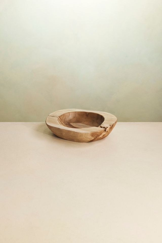 Teak Root Bowl Planter, 12" | AnthroLiving