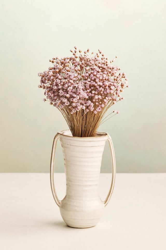 Preserved Glixia Stem Bunch | AnthroHome