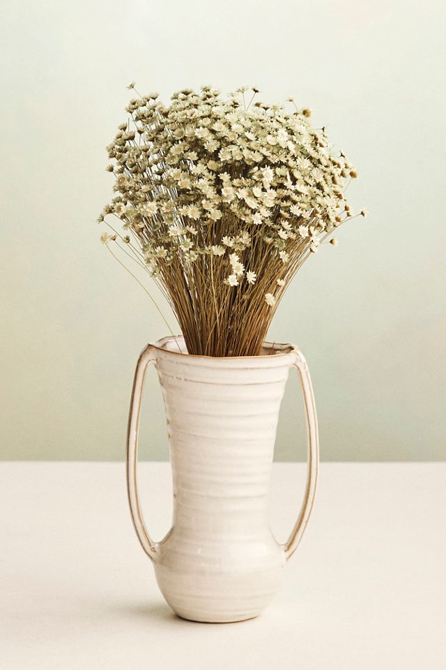 Preserved Glixia Stem Bunch | Anthropologie