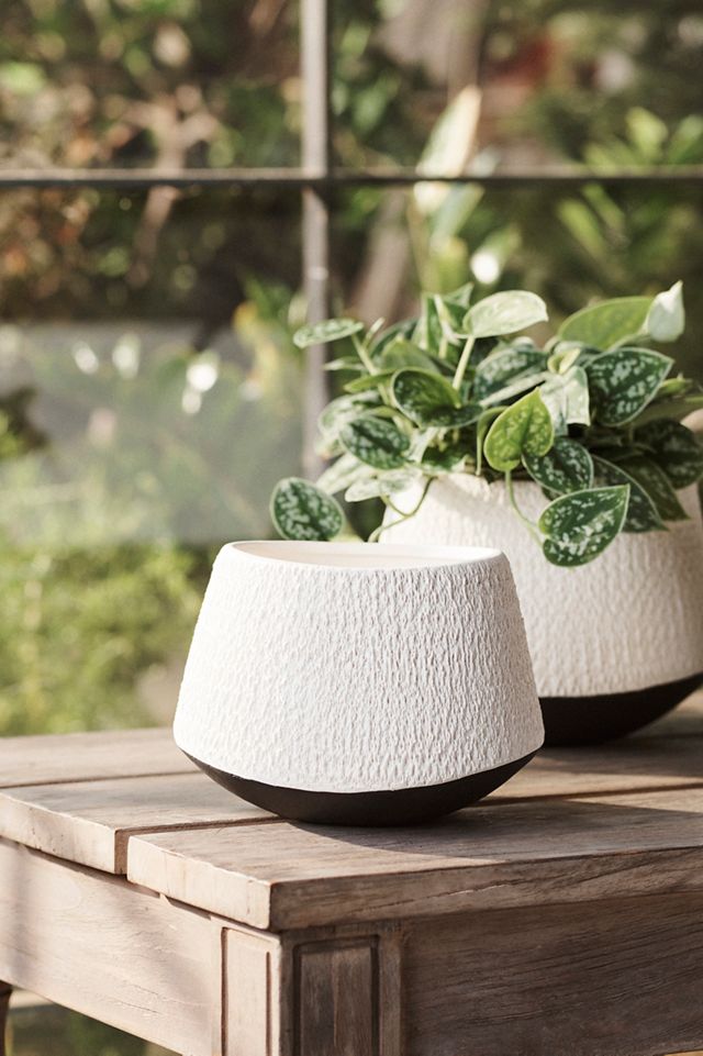 Textured Diamond Ceramic Planter, 7" | AnthroLiving