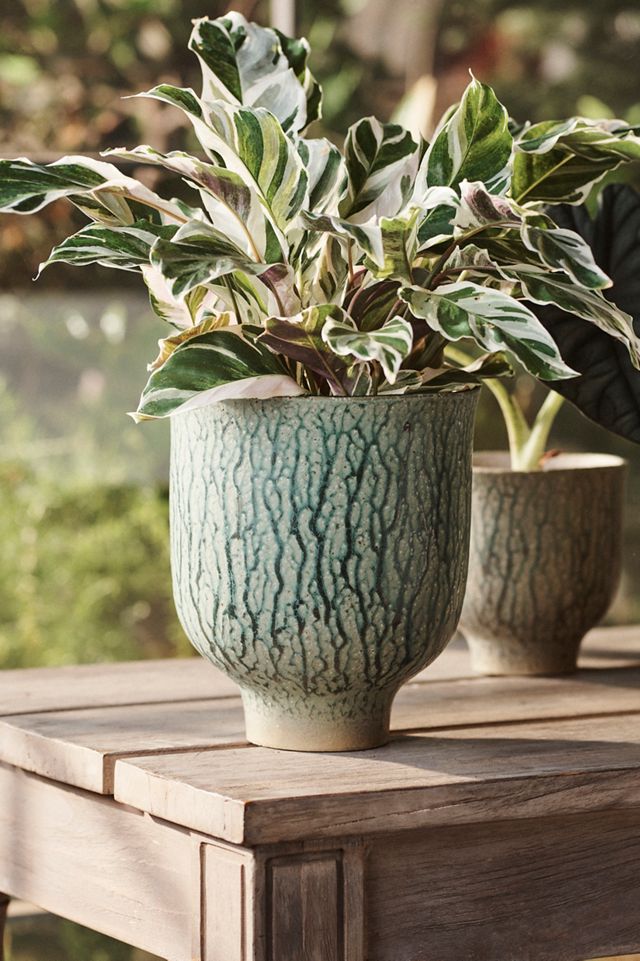 Drippy Ceramic Tulip Planter, 7" | Terrain