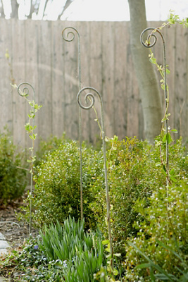 Fiddlehead Iron Stake | AnthroHome