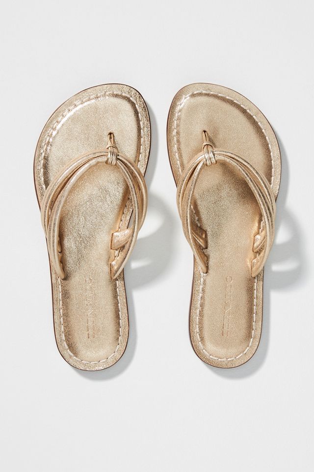 Bernardo Miami Sandals | Anthropologie