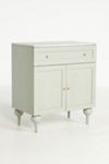 Fern Entryway Cabinet | Anthropologie