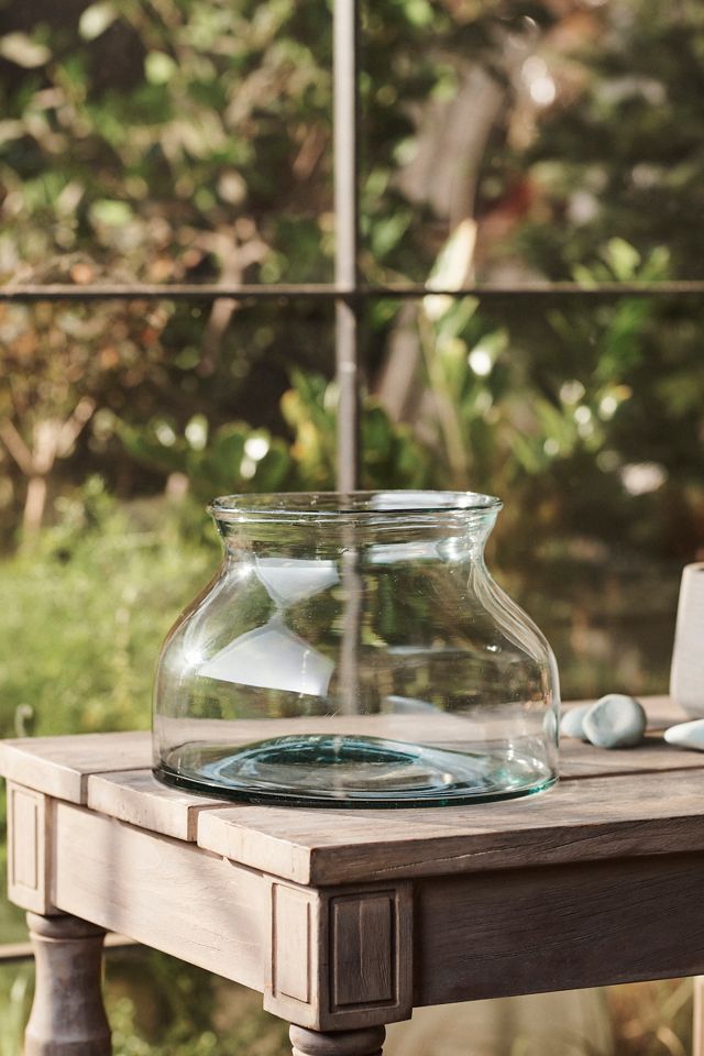 Bowl Recycled Glass Terrarium | AnthroLiving