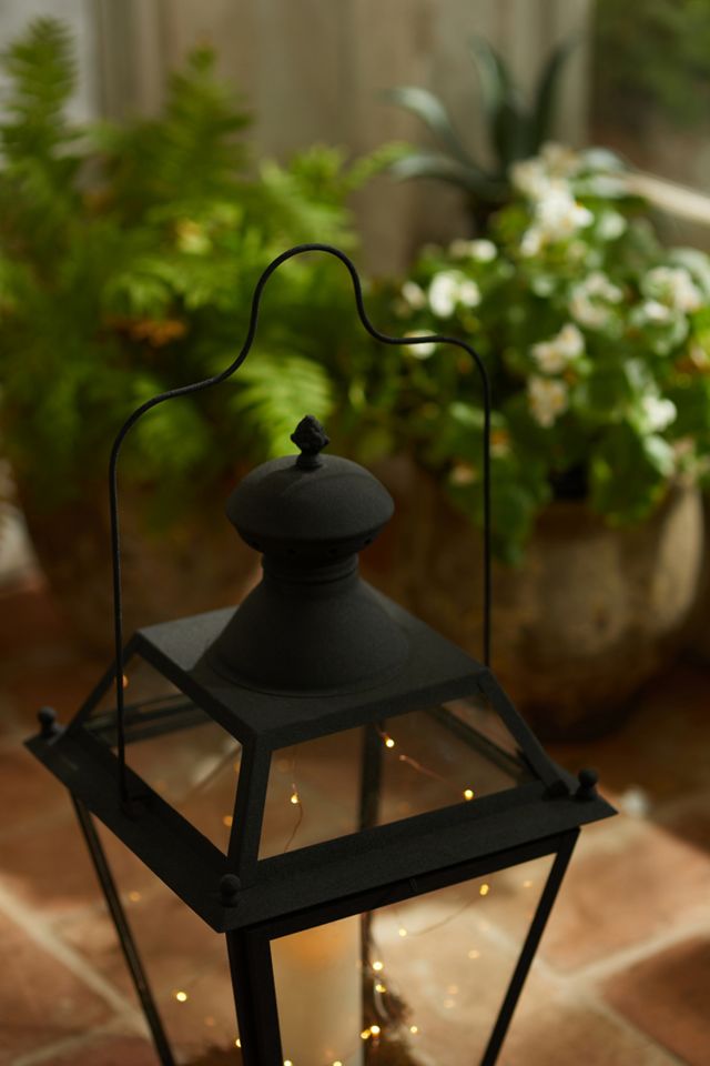 Hanging Lantern | Terrain