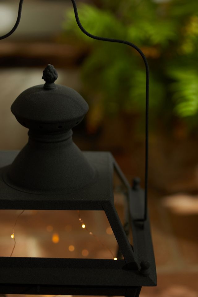 Hanging Lantern | Terrain