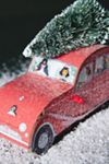 George & Viv Christmas Tree Car | Anthropologie UK