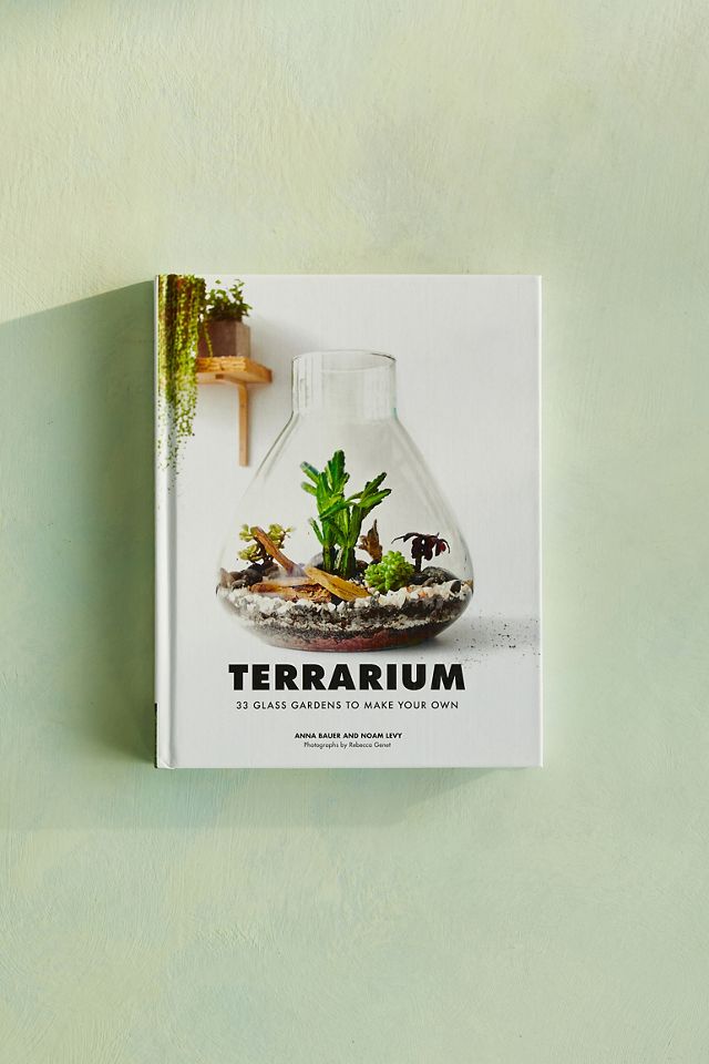 Terrarium | Terrain