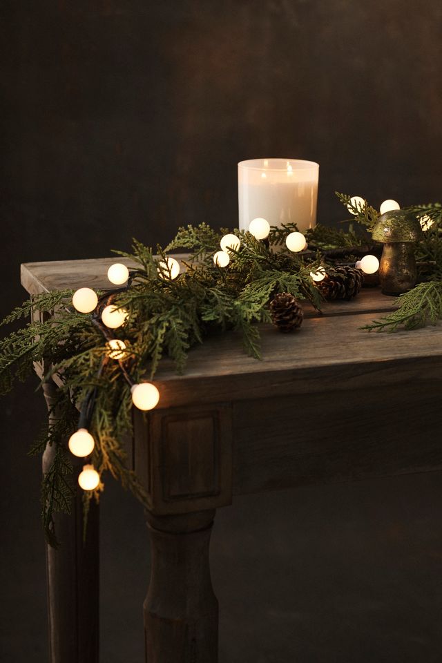 Stargazer Nature Effects Berry Vine Lights | Anthropologie