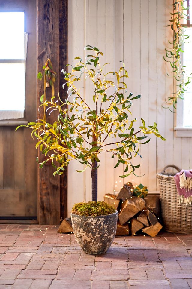 Stargazer Nature Effects LED Faux Olive Tree | AnthroLiving