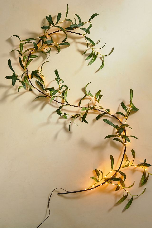 Stargazer Nature Effects Olive Leaf Garland | AnthroLiving