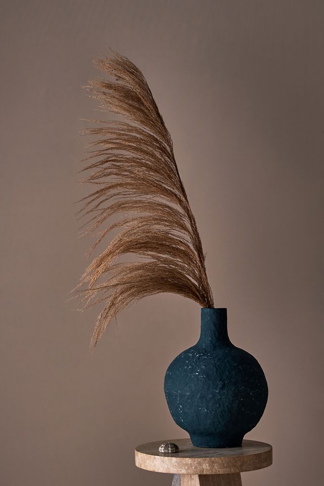 Dried Uva Stalks | AnthroLiving