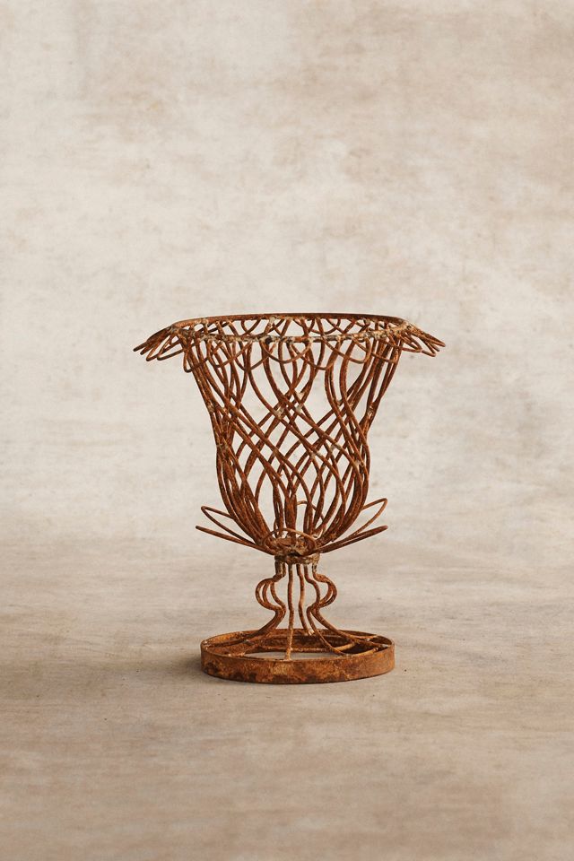 Aged Iron wire Tulip Urn | AnthroLiving