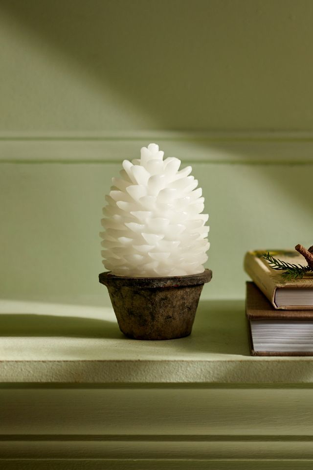 LED Pine Cone | Anthropologie