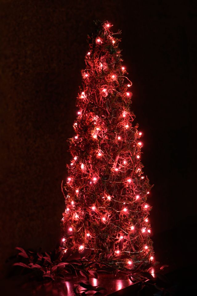 Stargazer Color-Changing Light Strand | Anthropologie