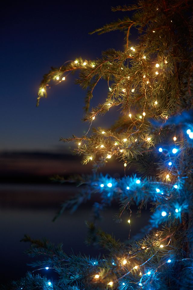 Stargazer Color-Changing Light Strand | Anthropologie