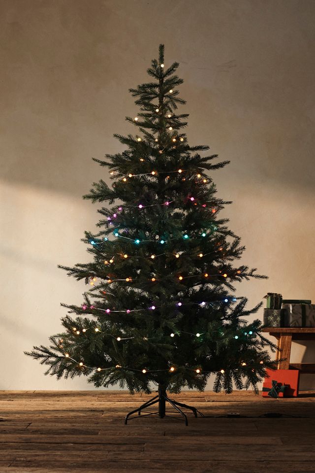 Stargazer Color-Changing Ball Light Strand | Terrain