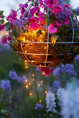 Stargazer Collection | Terrain