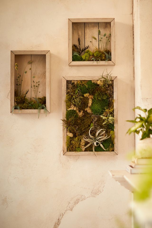 Wall-Mounted Plantable Frame | Terrain