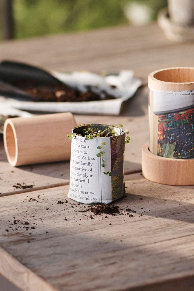 Seedling Paper Pot Making Kit | Anthropologie