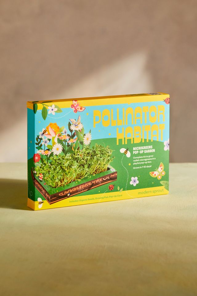 Microgreens Garden Kit for Kids | Terrain