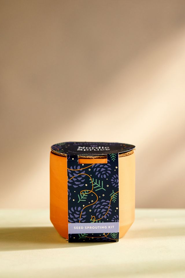 Holiday Grow Kit | AnthroLiving