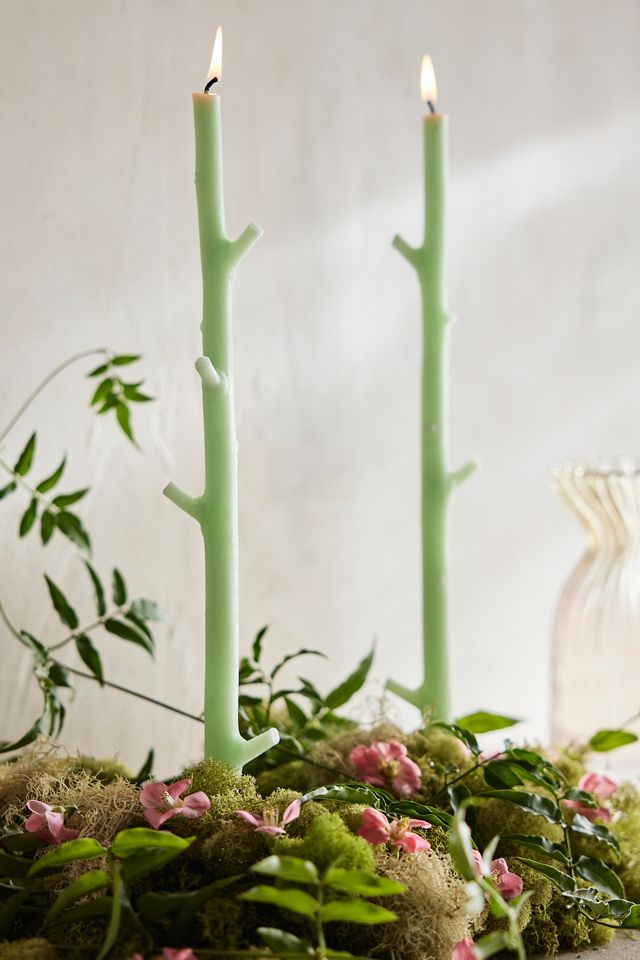 Maple Stick Candles Set of 2, 15" | Terrain