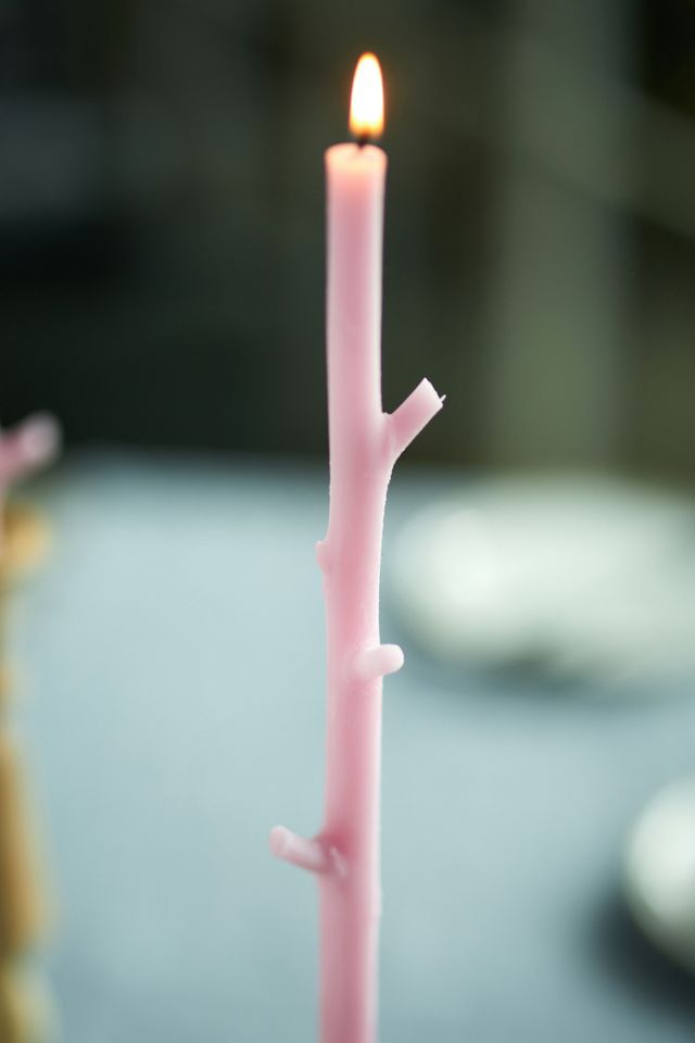 Maple Stick Candles Set of 2, 15" | AnthroLiving