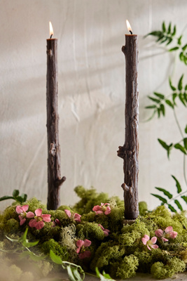 Cedar Stick Candles Set of 2, 12" | Terrain