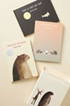 Jon Klassen's Hat Box Set | AnthroLiving