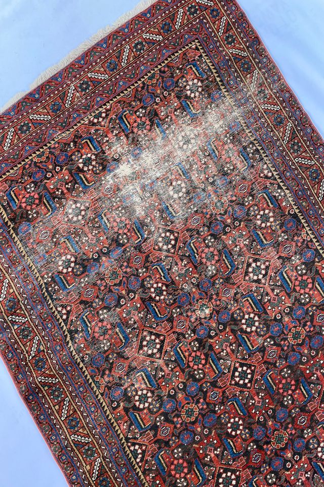 Blue Parakeet Rugs Antique Persian Bibikabad Rug No. 1626 | AnthroLiving