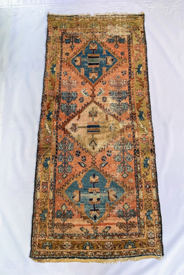 Blue Parakeet Rugs Antique Persian Kurdish Rug No. 1898 | AnthroLiving