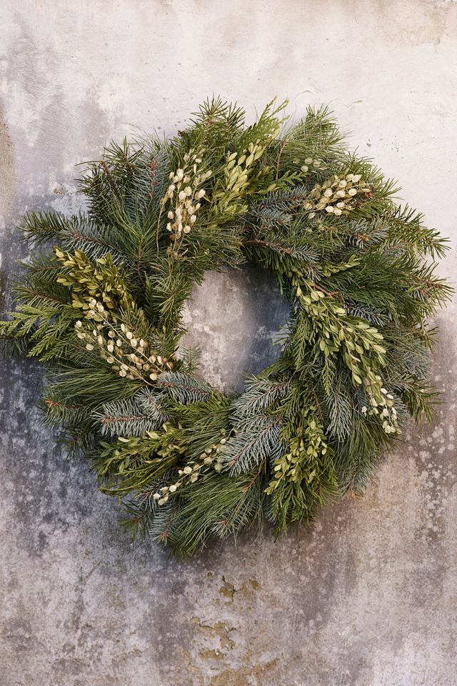 Fresh Noble Fir + Boxwood Wreath | AnthroLiving