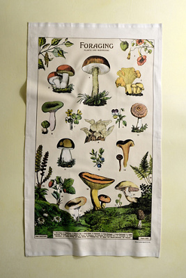 Foraging Cotton Dish Towel | Anthropologie