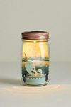 Narwhal Mason Jar Solar Nightlight | AnthroLiving