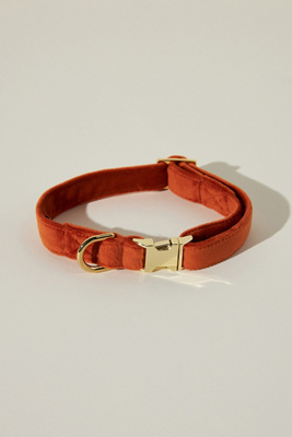 The Foggy Dog Fall Collar | Anthropologie