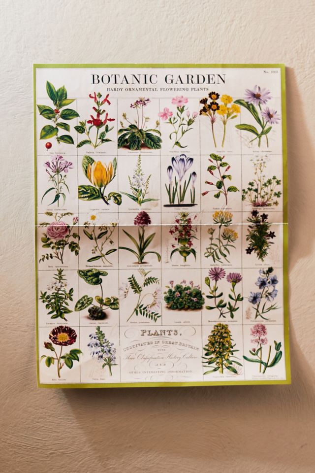 Botanic Garden Puzzle | Terrain