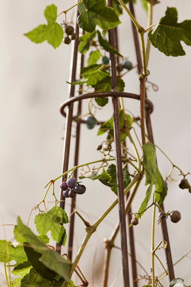 Cone Steel Obelisk | Terrain