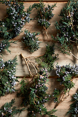 Preserved Blueberry Juniper Scatter | Anthropologie
