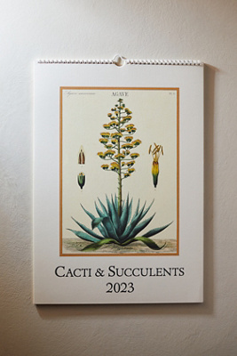 Cacti + Succulent 2023 Wall Calendar | AnthroLiving