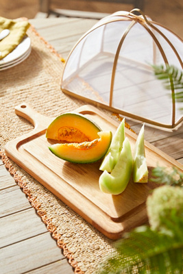 Mesh Food Cover with Wood Serving Tray, Rectangle | Terrain