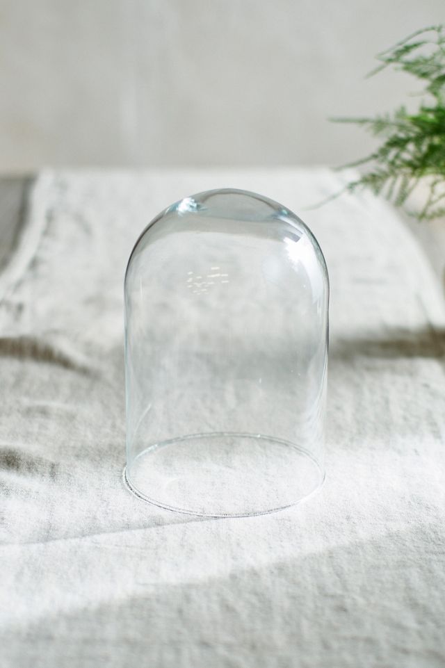 Glass Cloche Top | Anthropologie